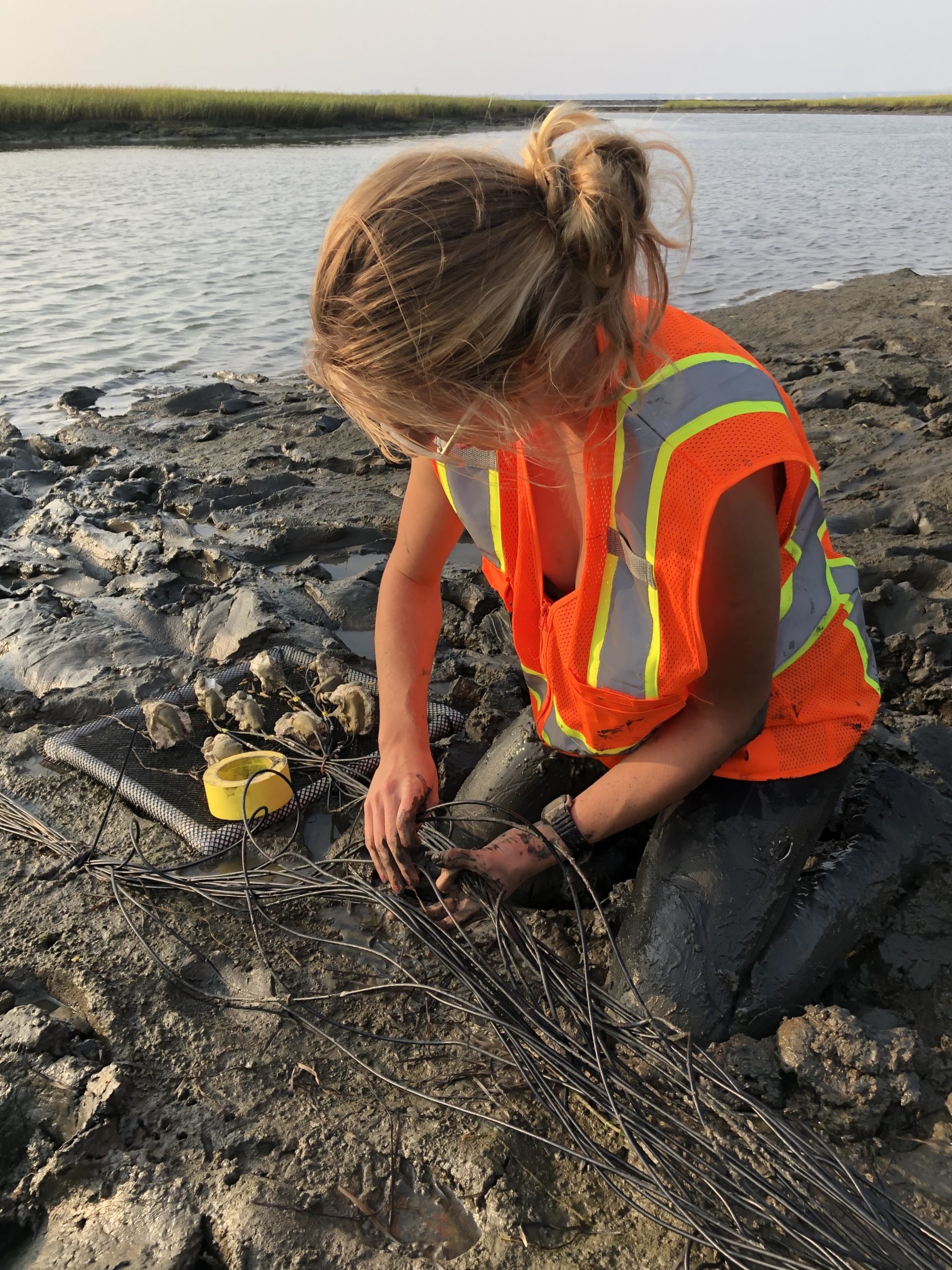 Lab Photos – Miller Lab